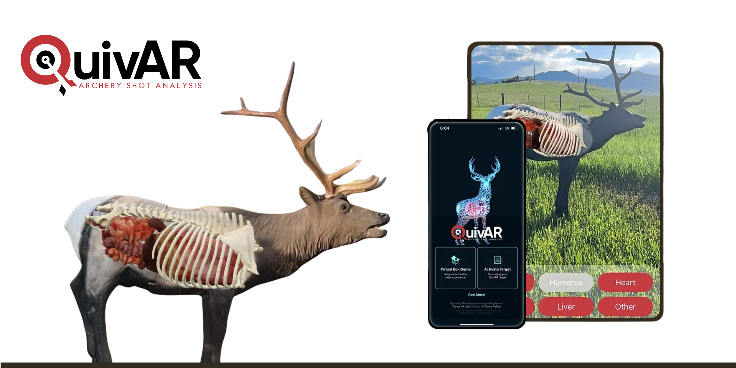 REVIEW - QuivAR App and X-Ray Series Targets – Lancaster Archery Supply