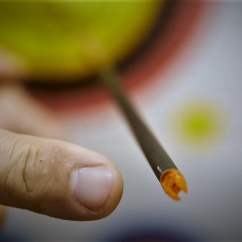 Guides and Information – Lancaster Archery Supply