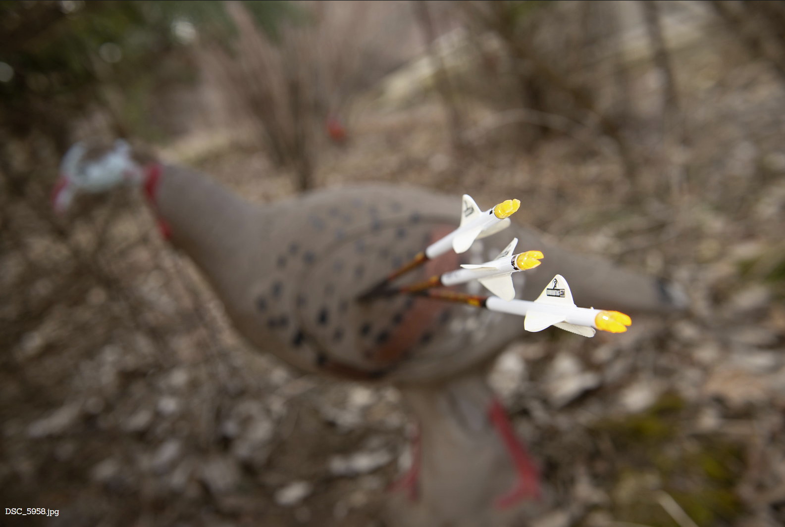Turkey Time 3D Targets & Faces – Lancaster Archery Supply