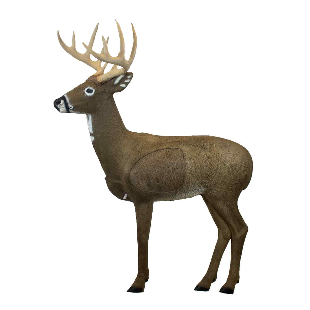 Rinehart Big Jim 3D Deer Target – Lancaster Archery Supply