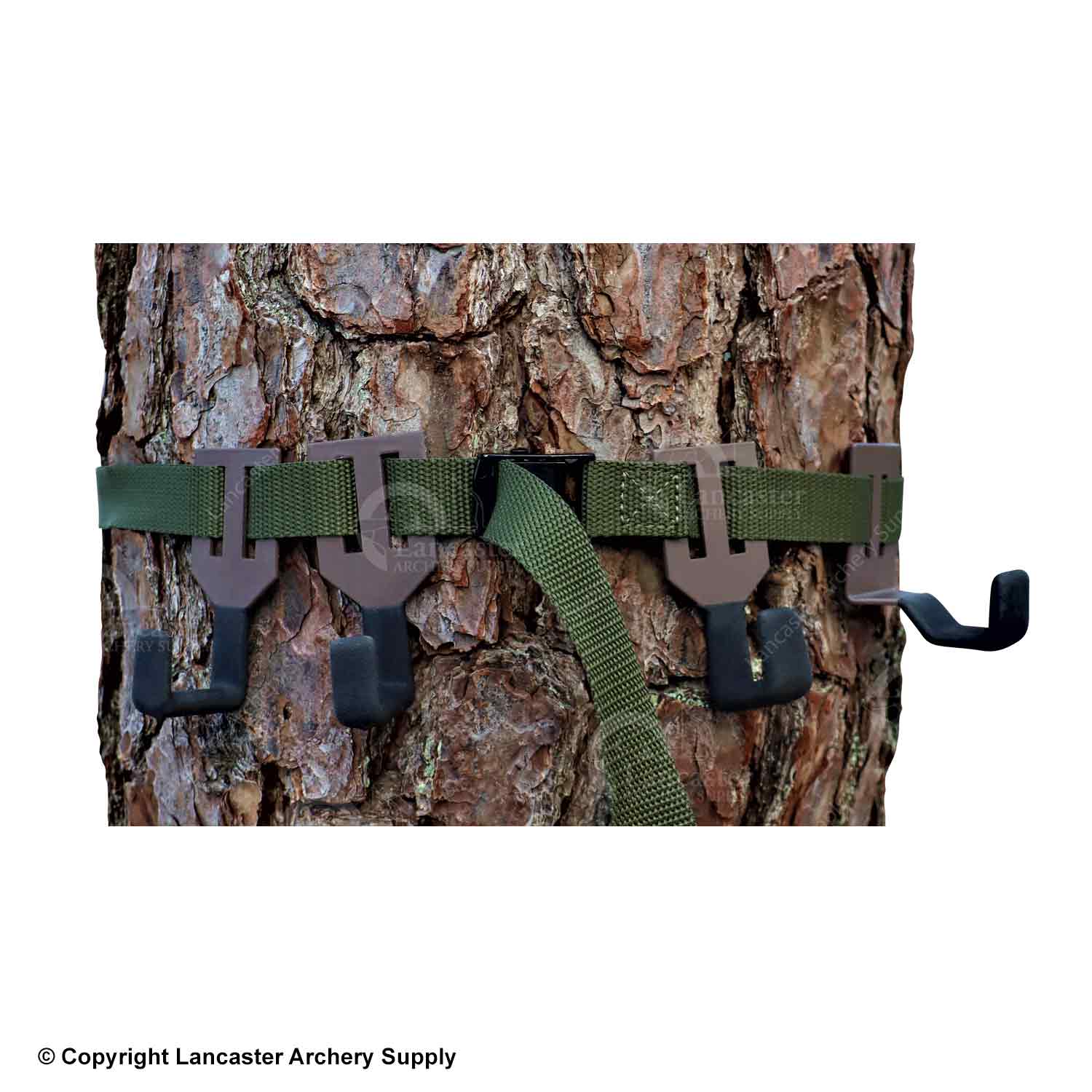 Big Whitetail Dreams Gear/Crossbow Hanger – Lancaster Archery Supply