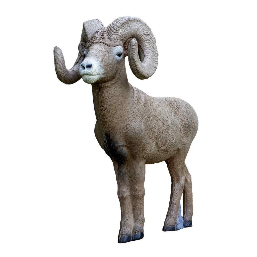 Rinehart 1/2 Scale Signature Bighorn Sheep 3D Target – Lancaster ...