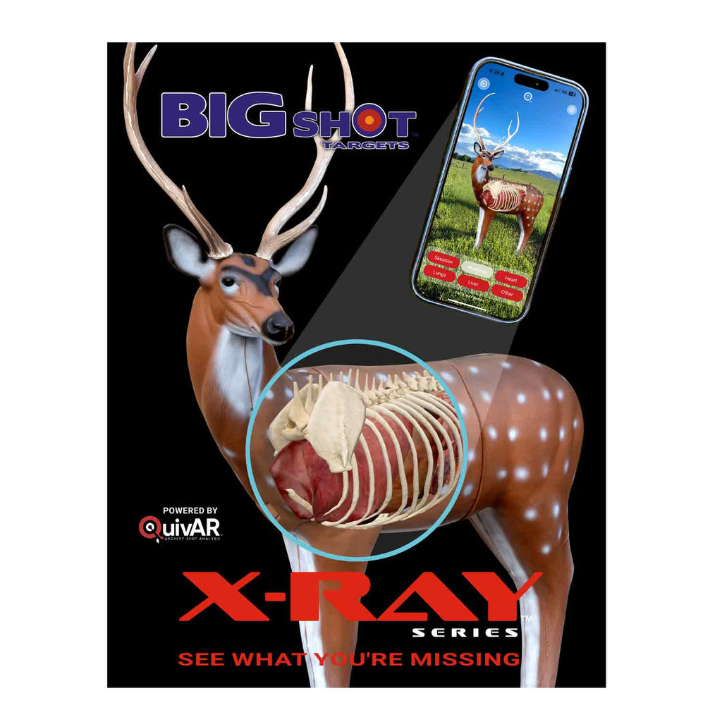 RealWild X-Ray Series Axis Deer 3D Target – Lancaster Archery Supply