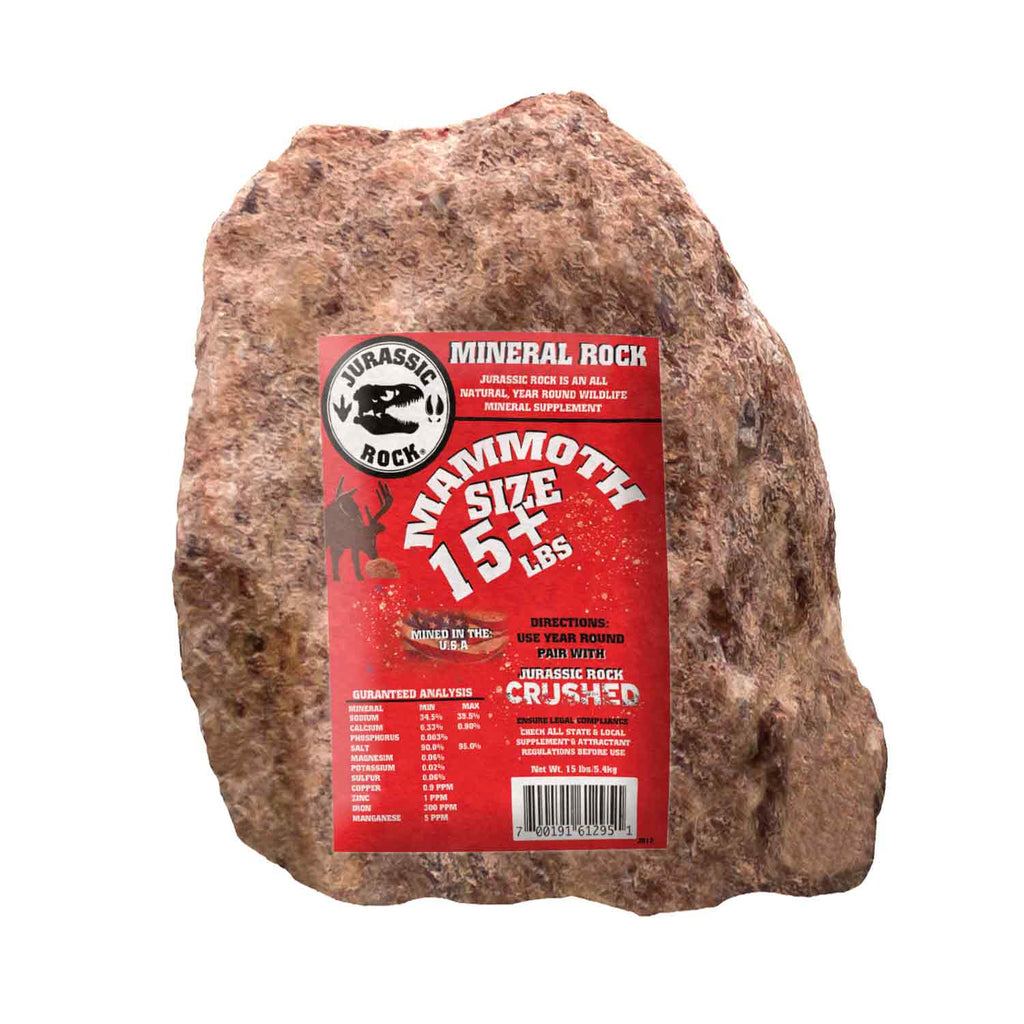 Jurassic Rock 15lb Mineral Block – Lancaster Archery Supply