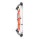 Hoyt Concept X 37 Compound Target Bow with Standard Limbs – Lancaster ...