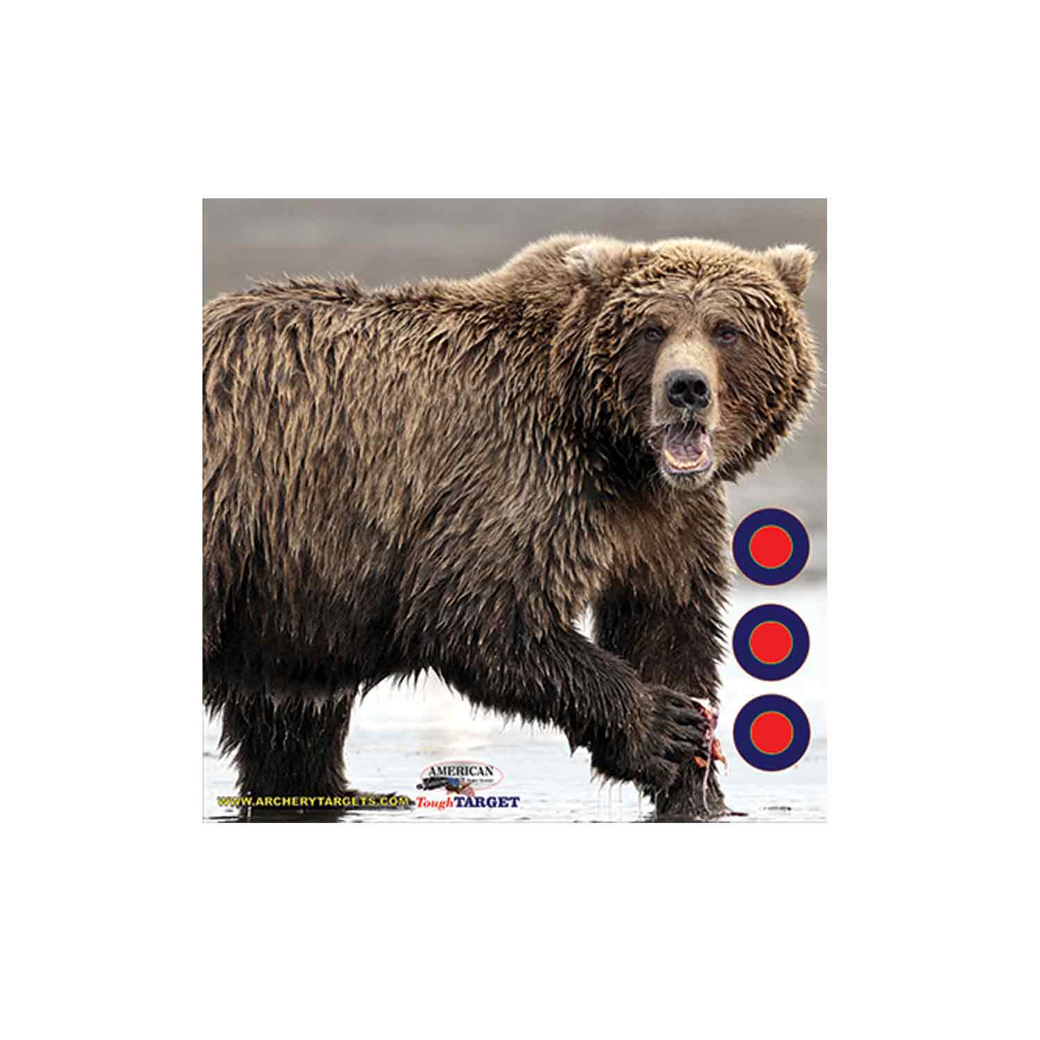 American Whitetail Tough Target Face (32"x32") – Lancaster Archery Supply