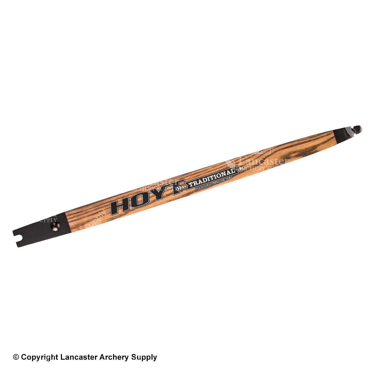 Hoyt Satori Traditional ILF Recurve Limbs – Lancaster Archery Supply