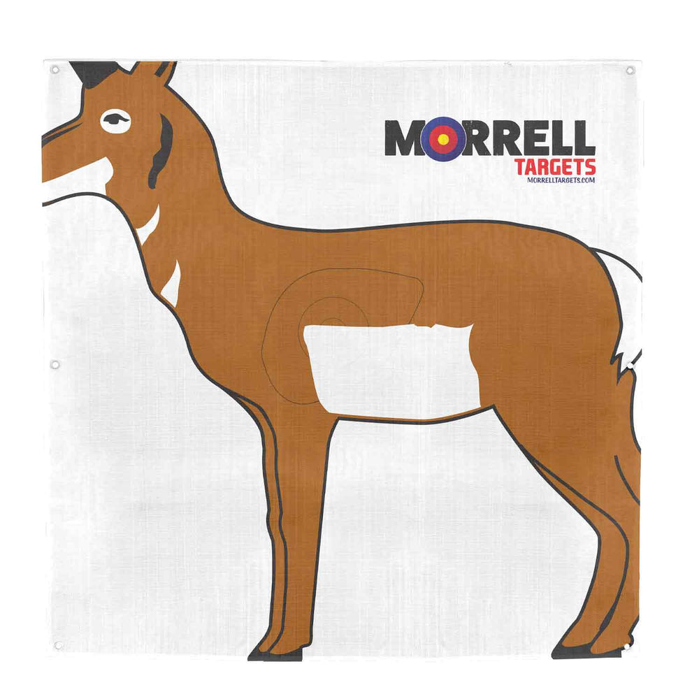 Morrell NASP®/IBO Life Size Target Face – Lancaster Archery Supply