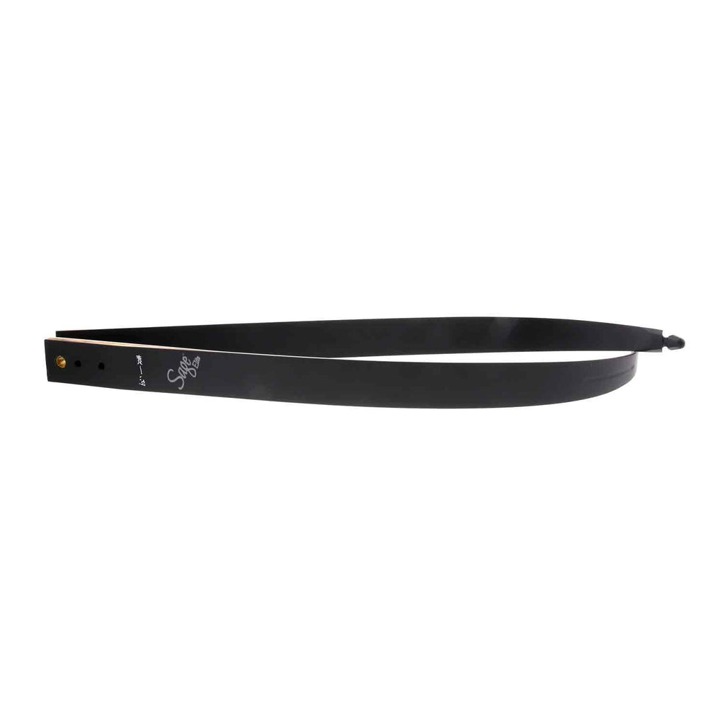 Galaxy Sage Take-Down Elite II Recurve Limbs – Lancaster Archery Supply