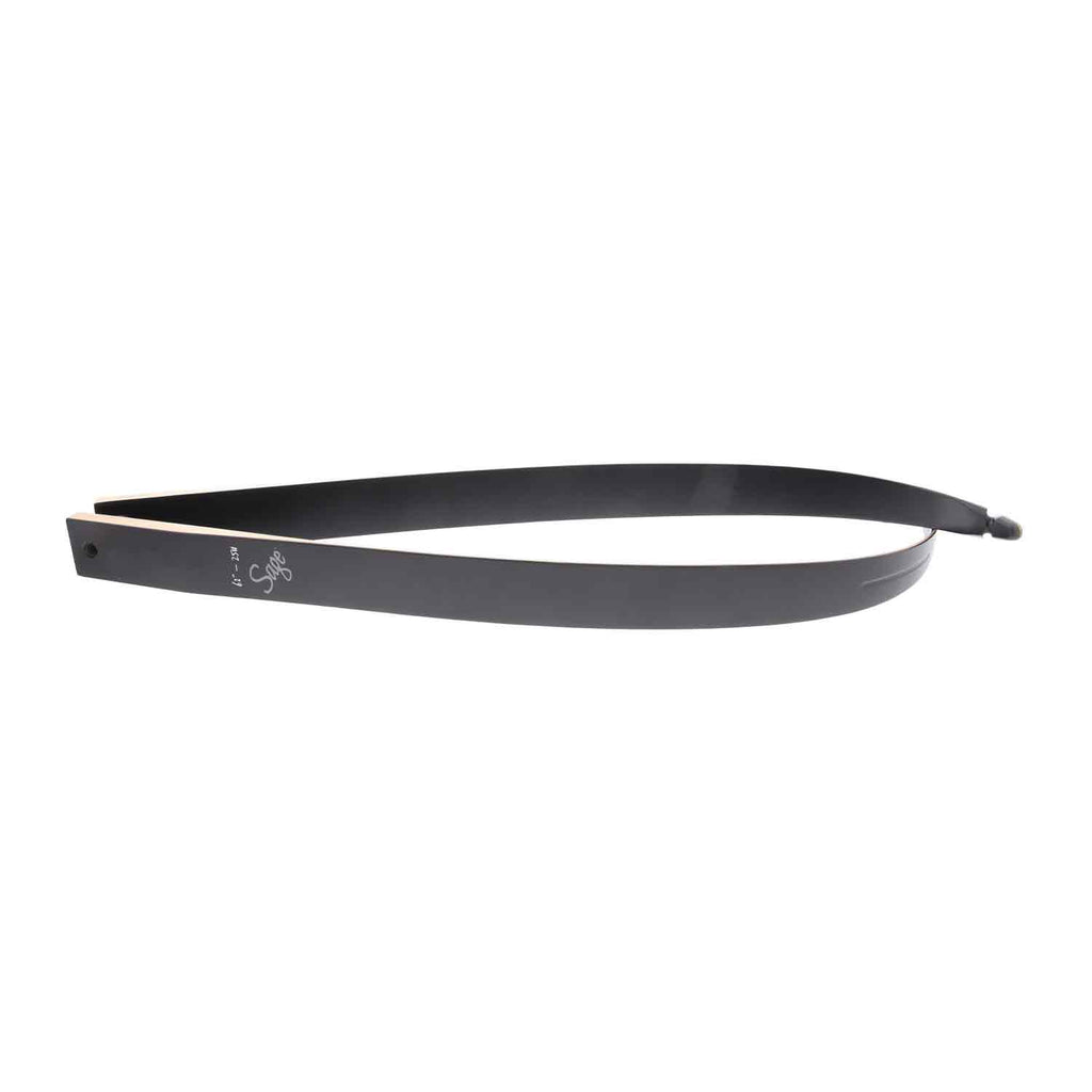 Galaxy Sage Take-Down Recurve Limbs – Lancaster Archery Supply