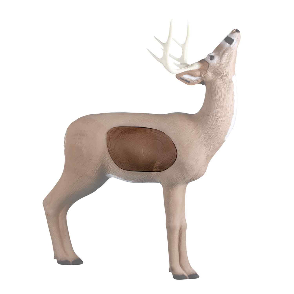 Rinehart Browsing Buck Insert – Lancaster Archery Supply