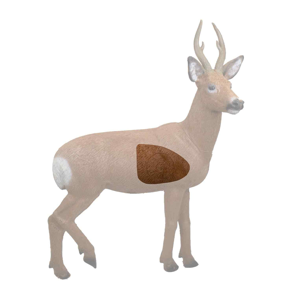 Rinehart Roe Deer Replacement Insert – Lancaster Archery Supply