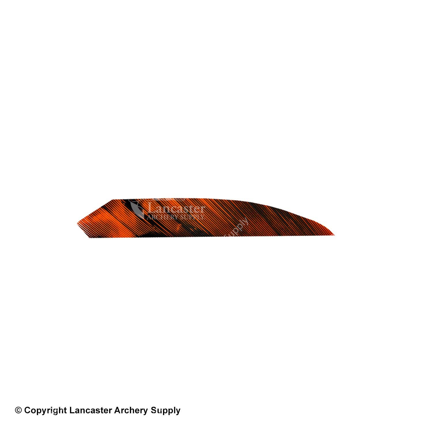 Ozark 2" Target Maxx Field Camo Color Feather – Lancaster Archery Supply