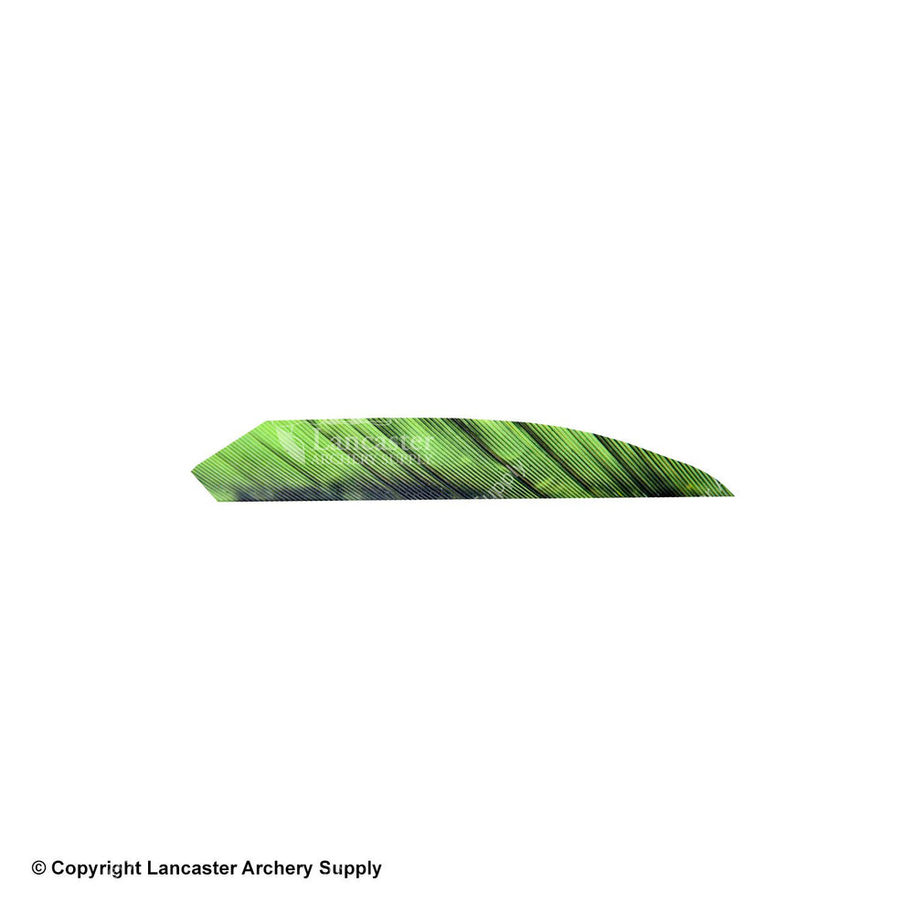 Ozark 2" Target Maxx Field Camo Color Feather – Lancaster Archery Supply