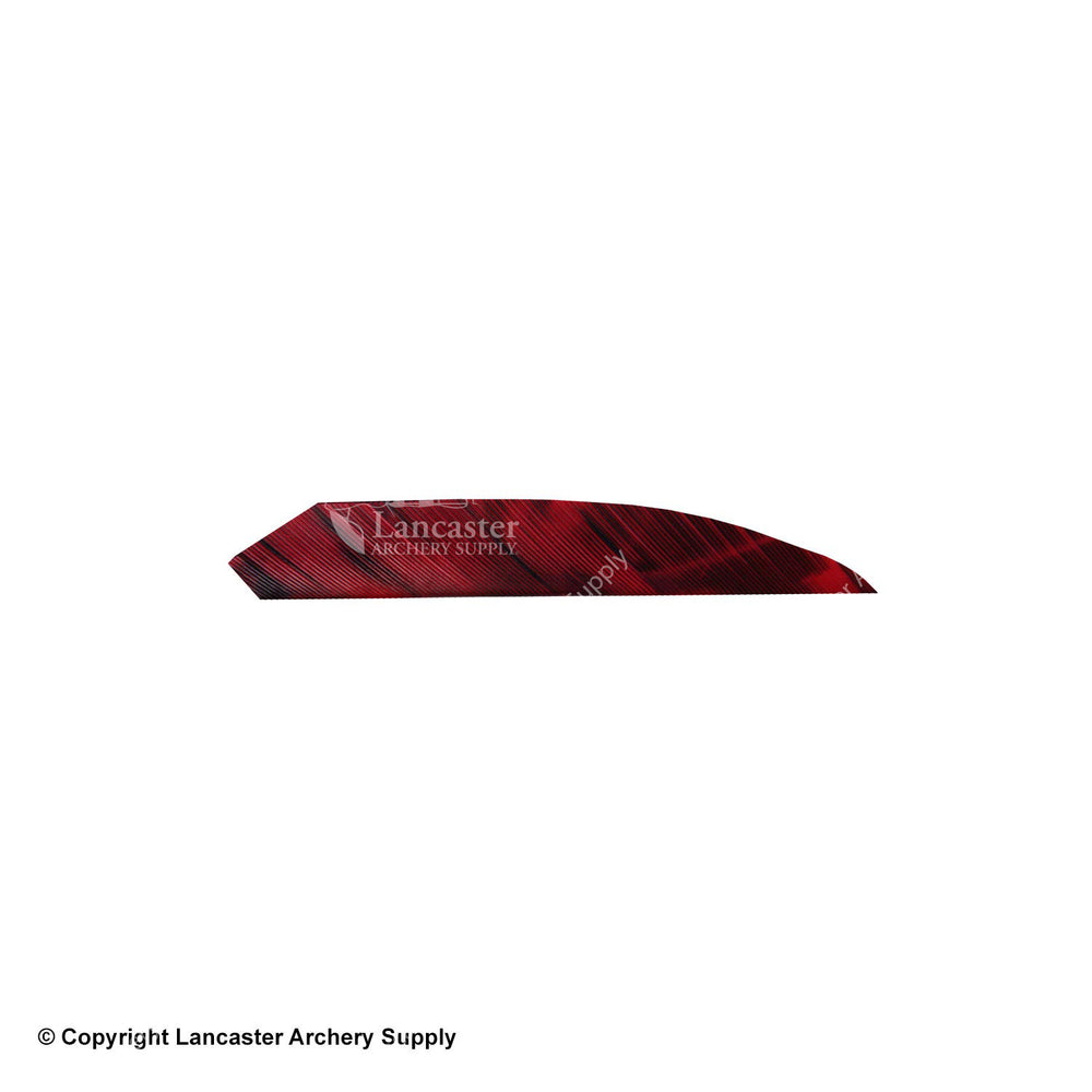 Ozark 2" Target Maxx Field Camo Color Feather – Lancaster Archery Supply