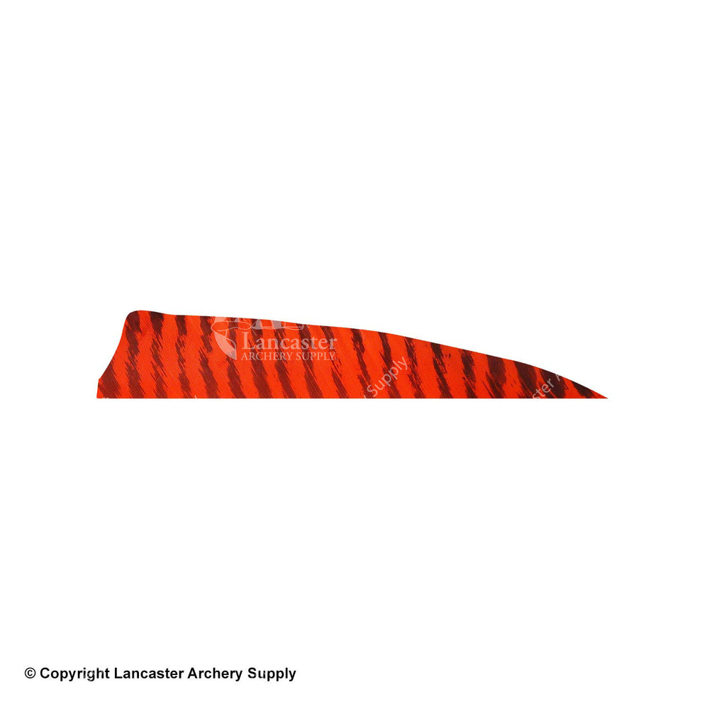 Gateway 4" Shield Barred Feather – Lancaster Archery Supply