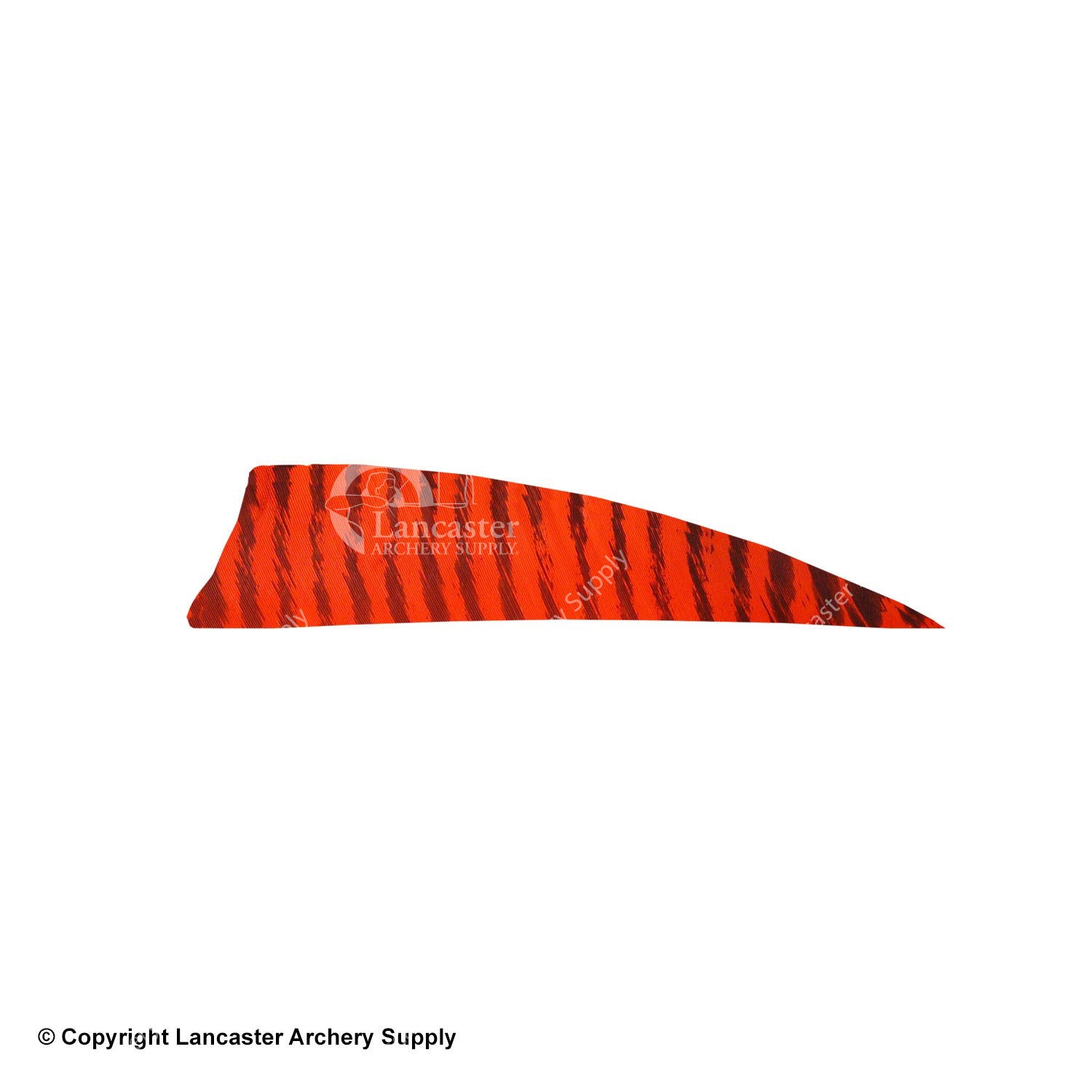 Gateway 3" Shield Barred Feather – Lancaster Archery Supply
