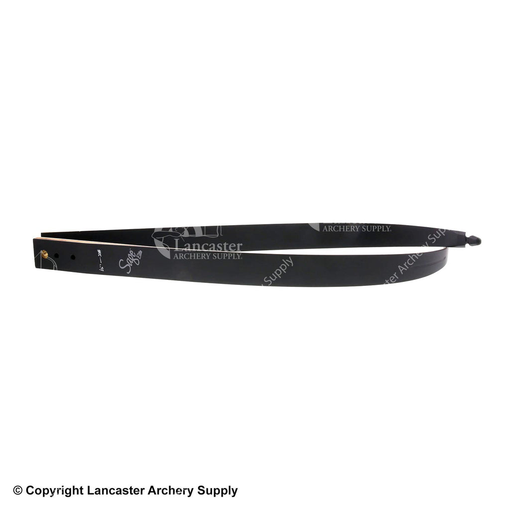 Galaxy Sage Take-Down Elite II Recurve Limbs – Lancaster Archery Supply