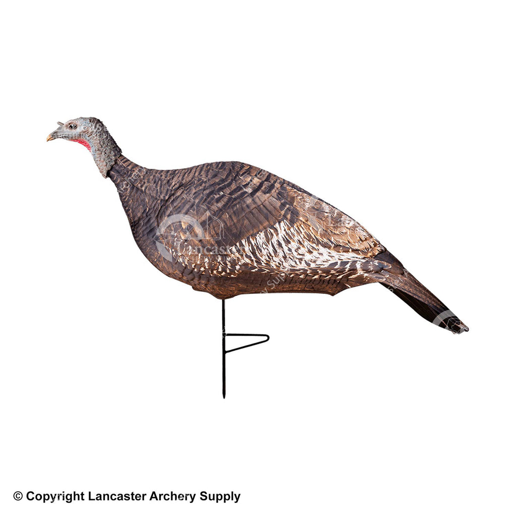 Primos Photoform Hen Turkey Decoy – Lancaster Archery Supply