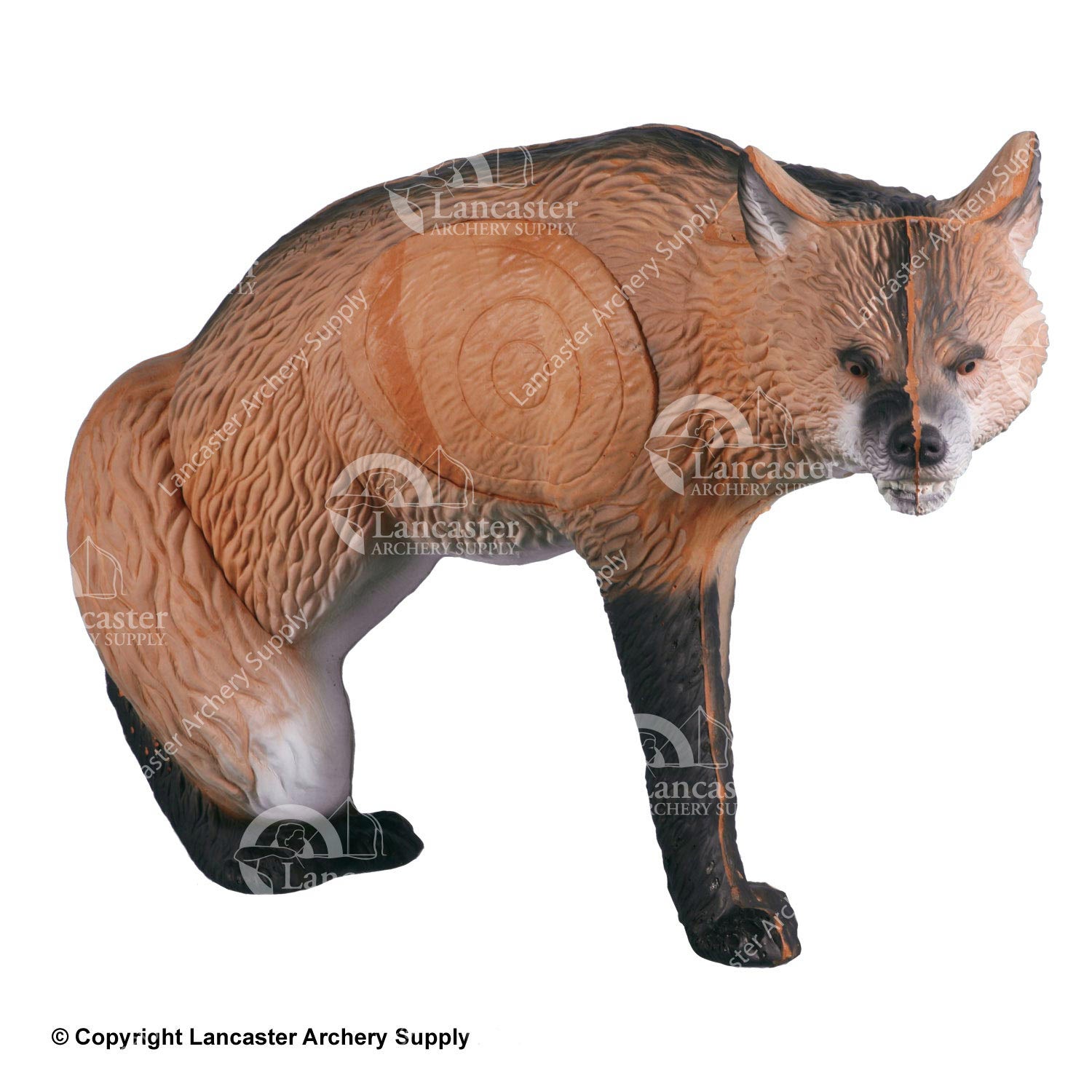 Rinehart Red Fox Target – Lancaster Archery Supply