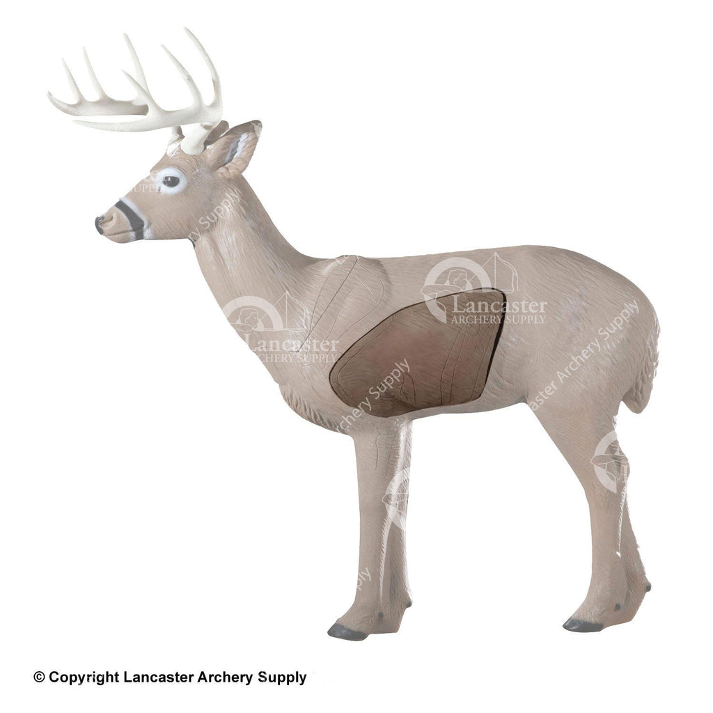 Rinehart 3D deer...help ID for replacement kill zone | Archery Talk Forum