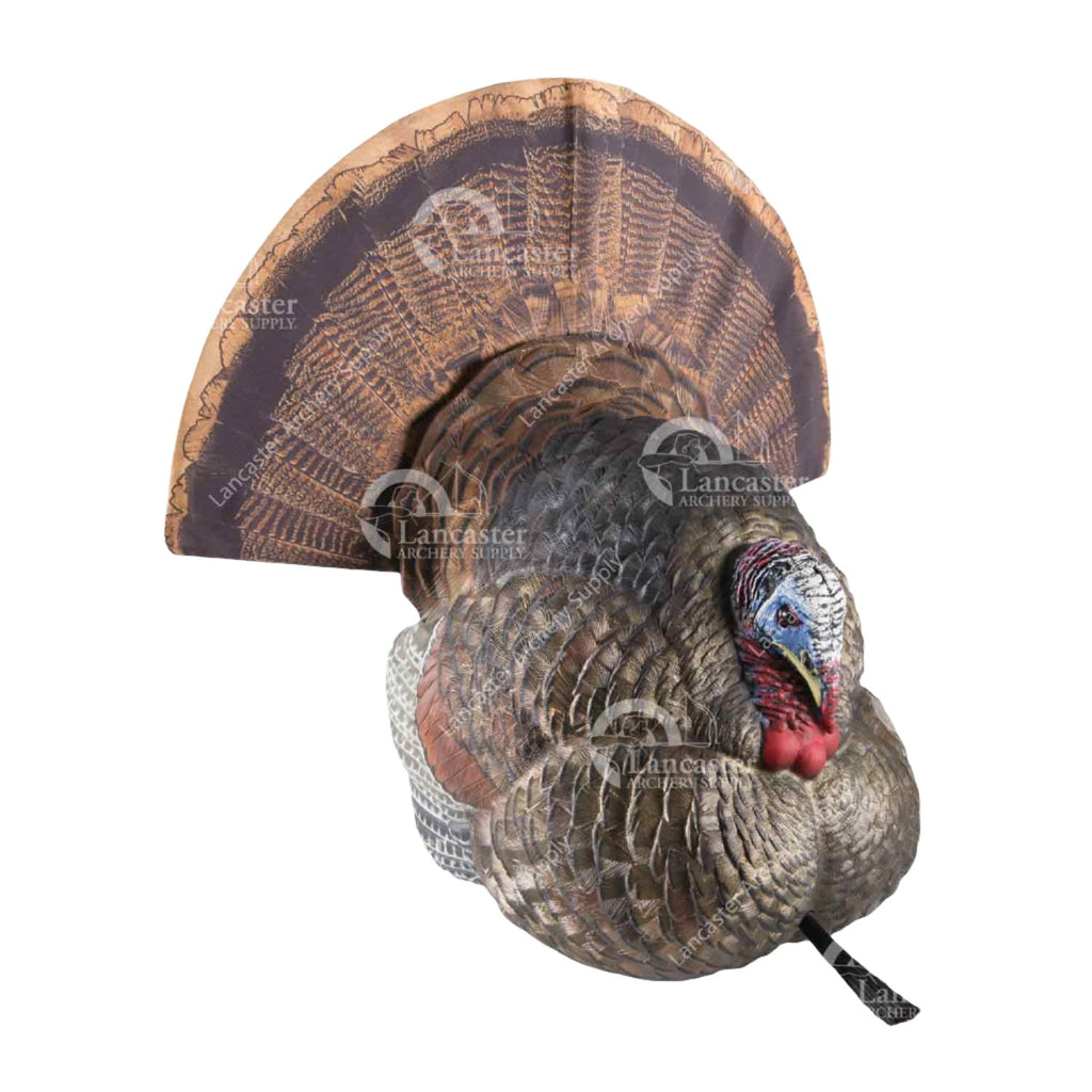 Avian-X LCD Strutter Turkey Decoy – Lancaster Archery Supply