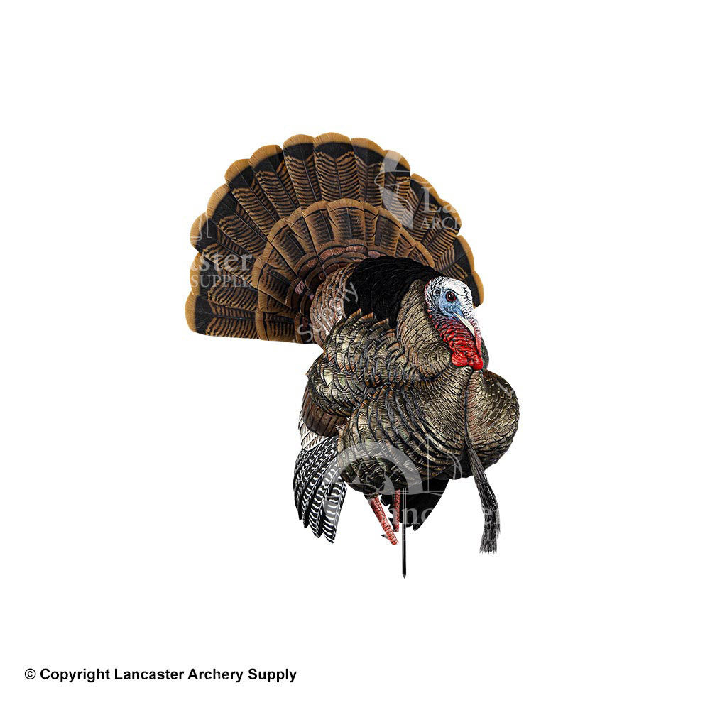 Avian-X HDR Strutter Turkey Decoy – Lancaster Archery Supply